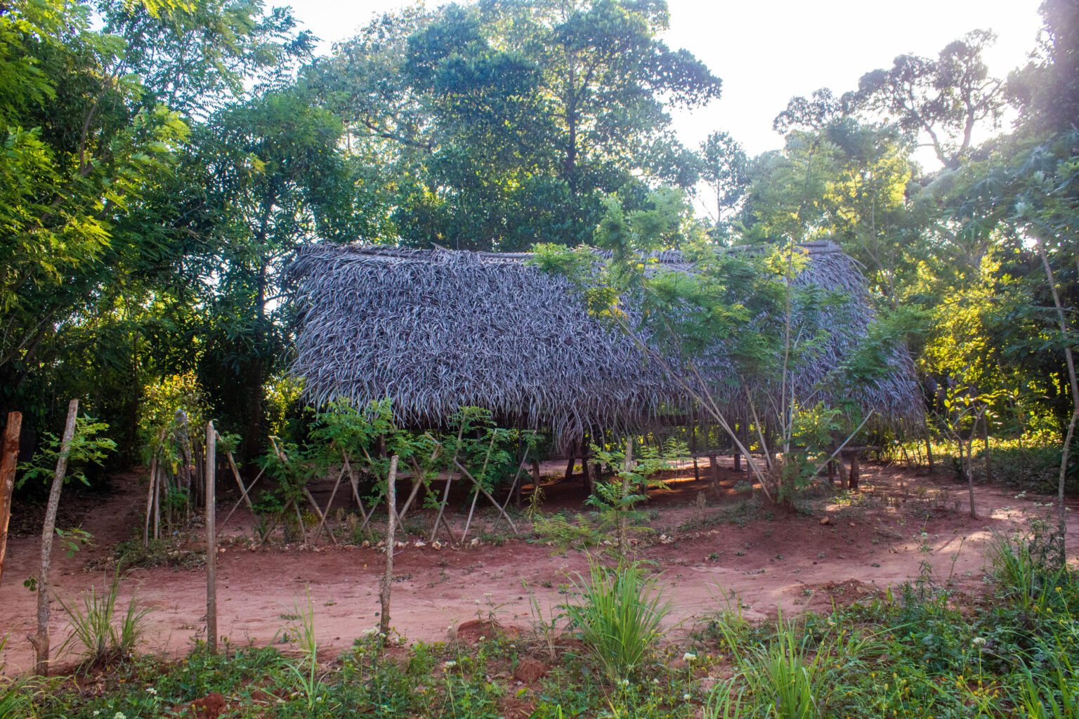 SISO SPICE FARM – Welcome to Siso Spice Farm Zanzibar